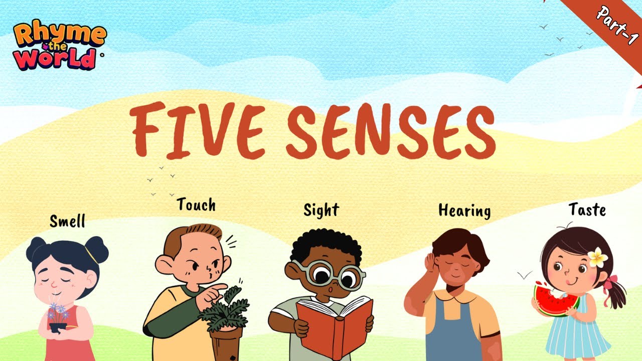 5 Senses | Learn 5 Sense of human Body| Sight, Hearing, Touch, Taste ...