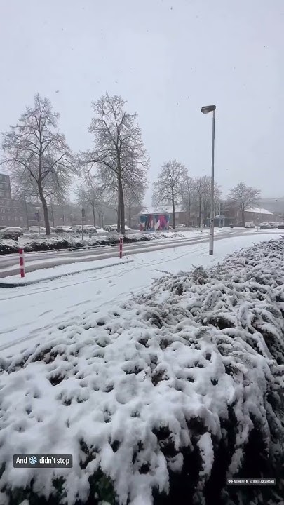 Its a snow day #snowday #eindhoven #netherlands #january #2023 - YouTube