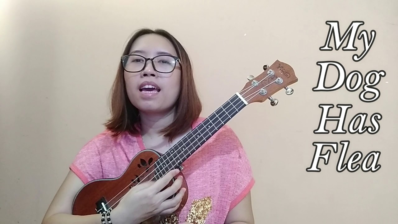Ukulele Video 2 (part -1) - YouTube
