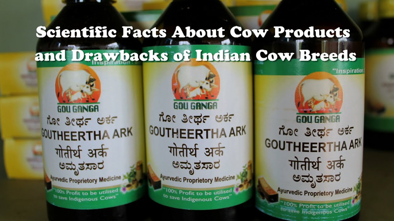 Scientific Facts About Cow Products & Drawbacks of Indian Cow Breeds ...