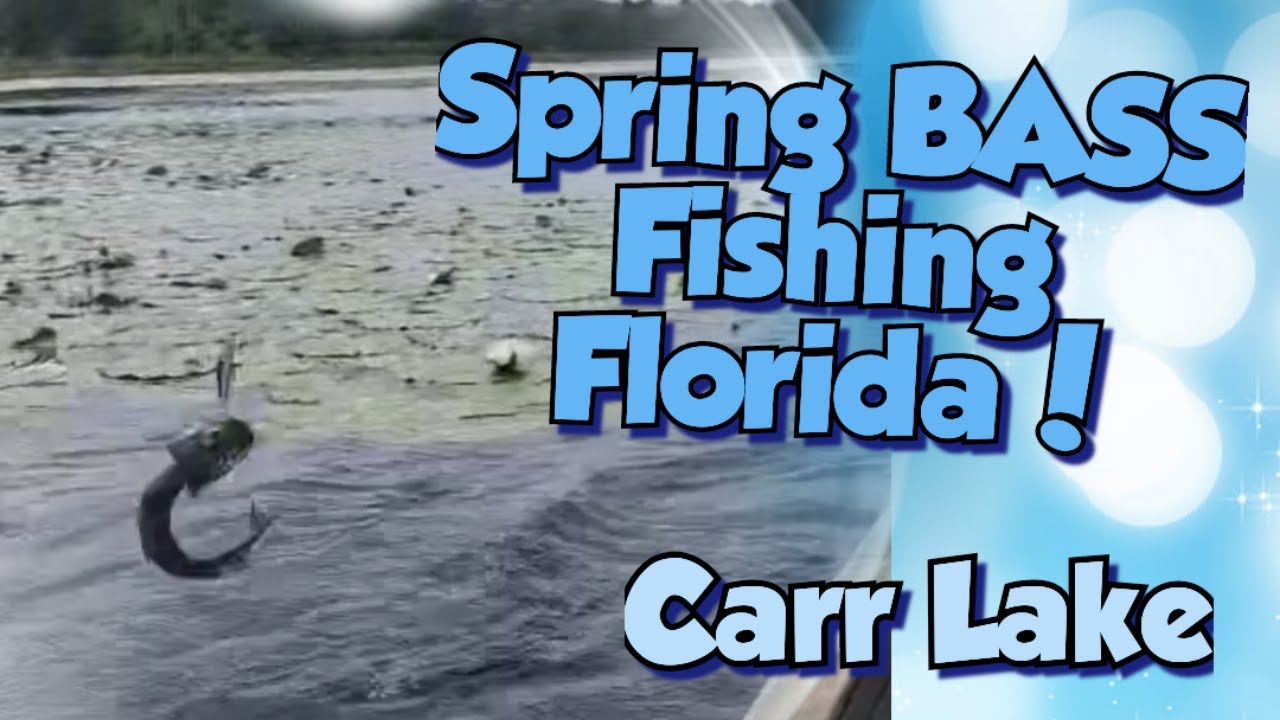 BASS Fishing in Carr Lake! Spring fishing in North Florida with some ...