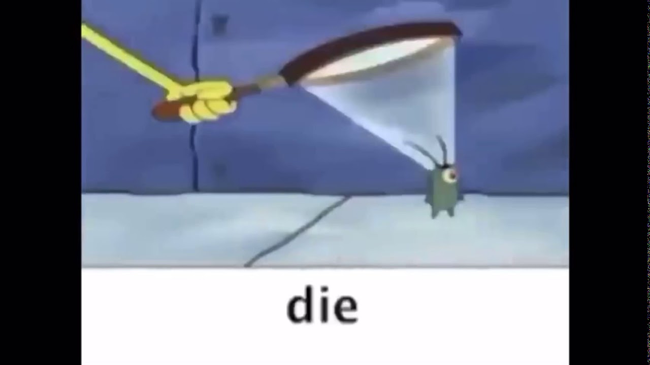 plankton dies - YouTube