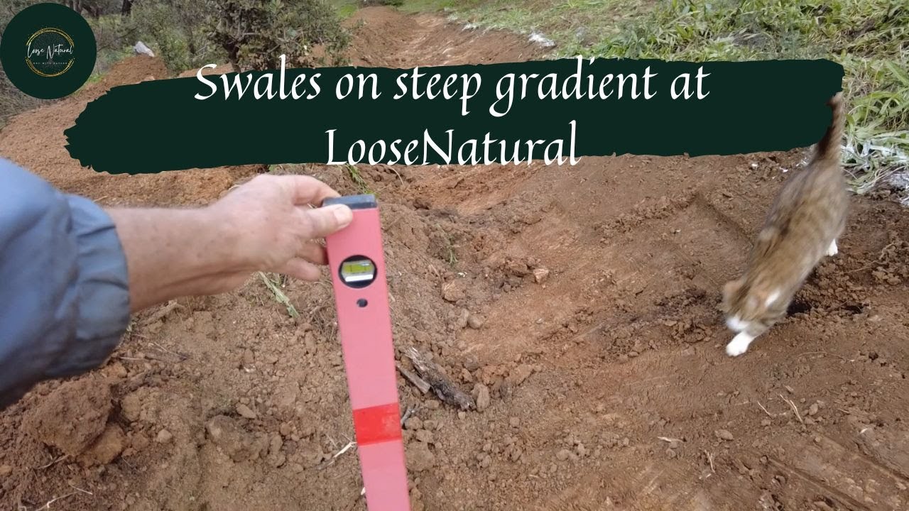 Swales on steep gradient at LooseNatural - YouTube