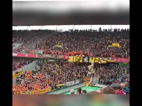 Dynamo Dresden Fans „Ost-Deutschland“ in Köln