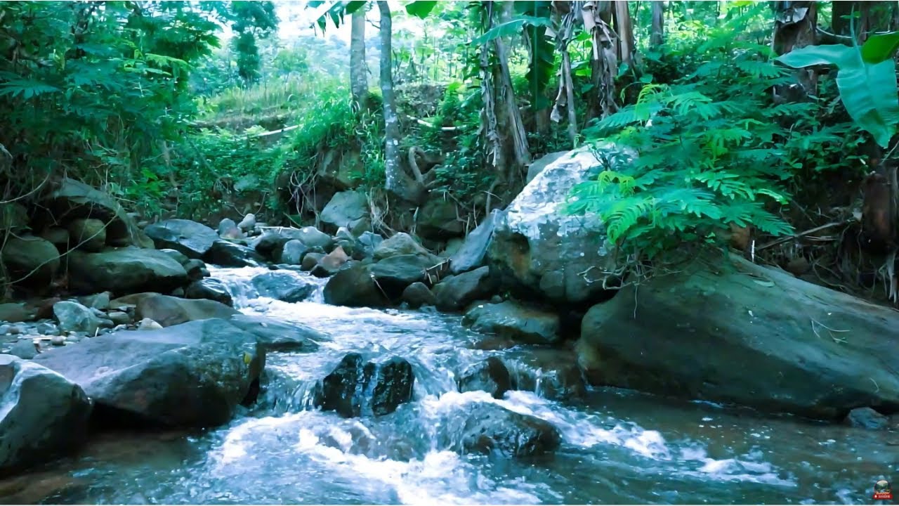 Powerful River Flow in Nature | Soothing Water Sounds for Deep Focus ...