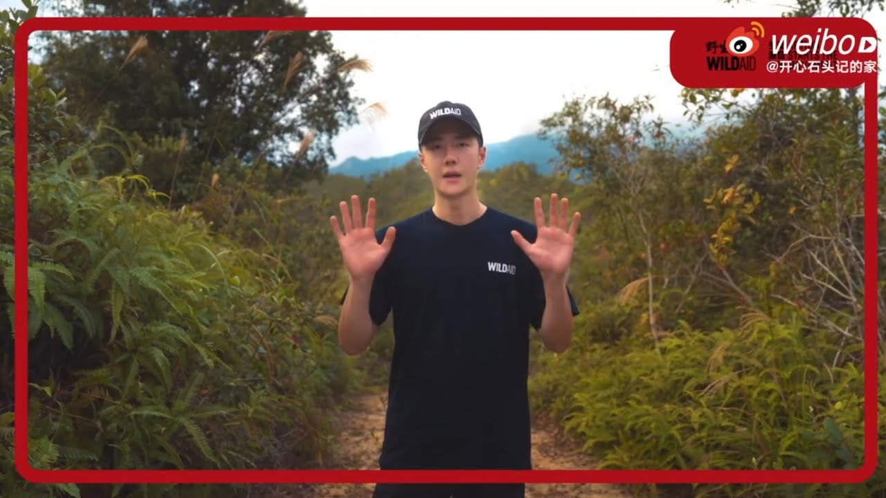 WildAid Ambassador Wang Yibo 王一博 || 240209 YIBO-OFFICIAL weibo update 💚 ...