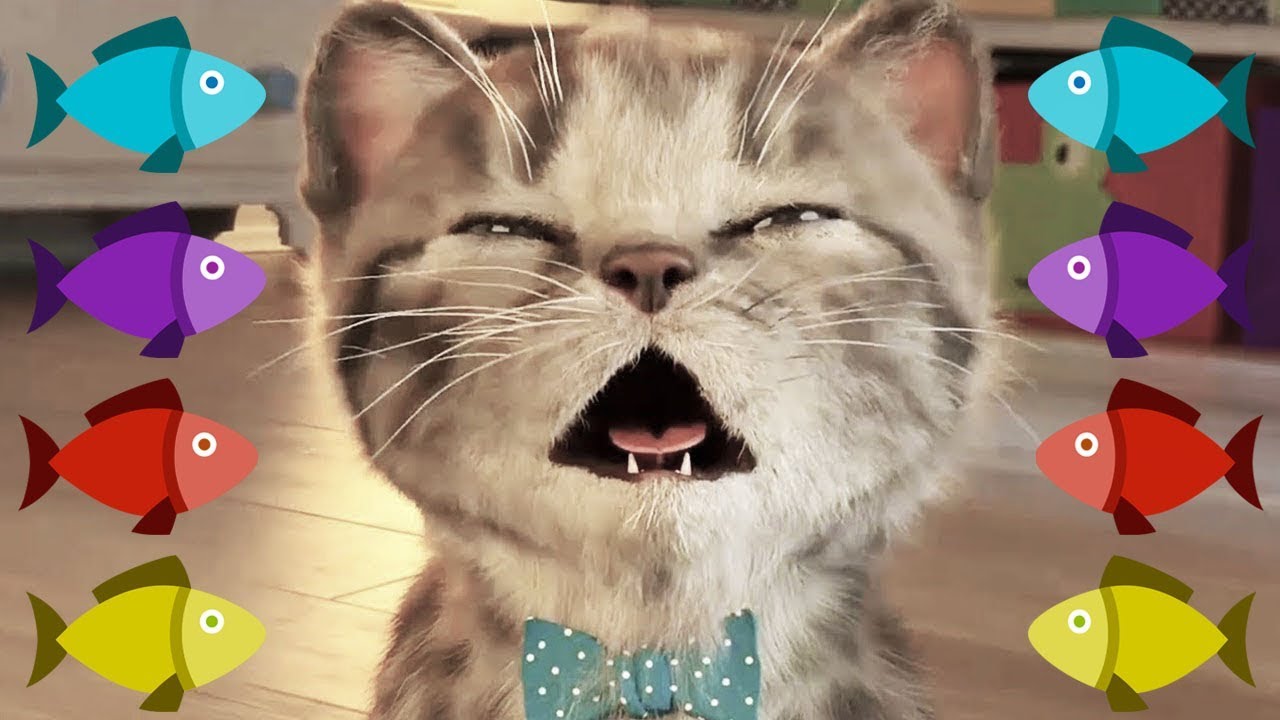 Lindo Gatito | Dibujos Animados Infantiles (Capítulo 10) - YouTube