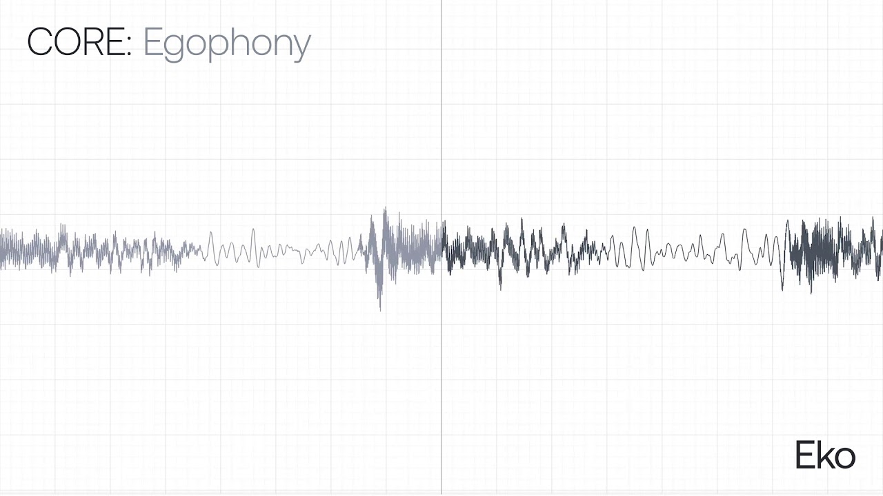 Egophony Recording & Waveform | Eko Health - YouTube