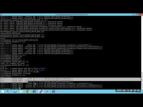 SAP HANA 2.0 - BACKUP & RECOVERY SCENARIO TEST - YouTube