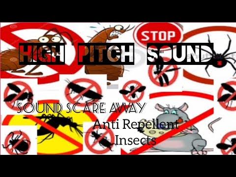 HIGH PITCH SOUND - KEEP AWAY MICES, ANTS, INSECTS, RATS, SPIDERS - Sound scare reptiles ...