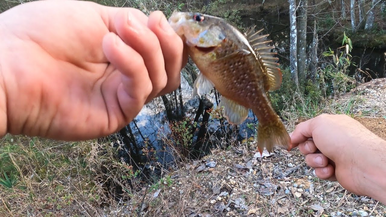 Epic Ultralight Goggle Eye fishing - YouTube