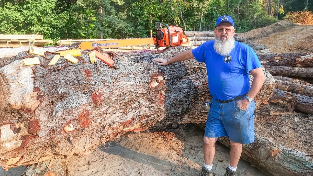 We had to break out the BIG chainsaw for this MASSIVE log! - YouTube