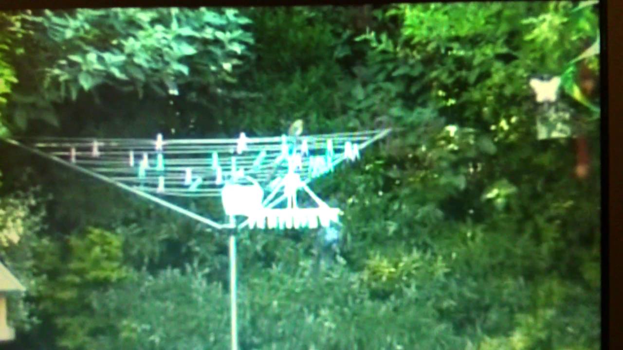 Robbie Robin - YouTube