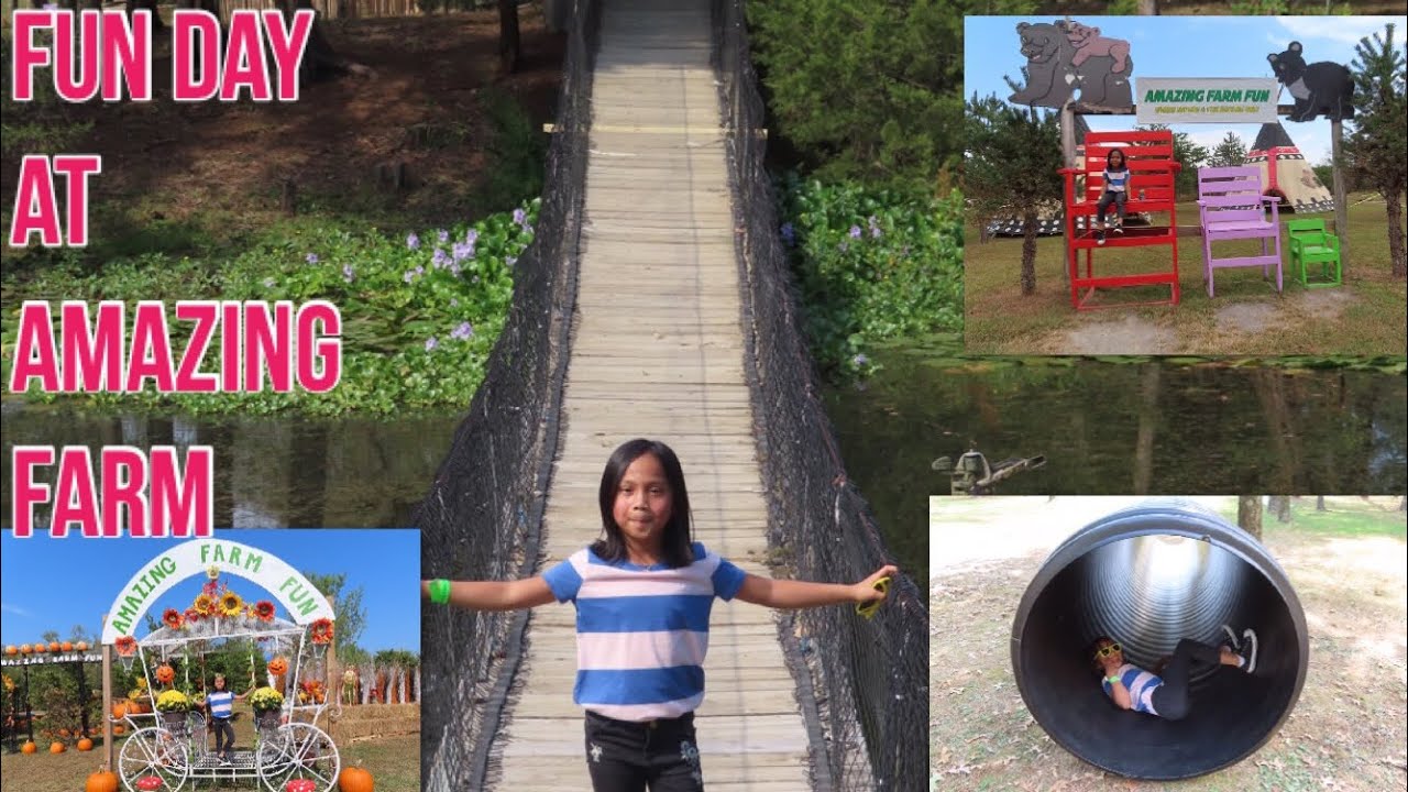 FUN DAY AT AMAZING FARM FUN - YouTube