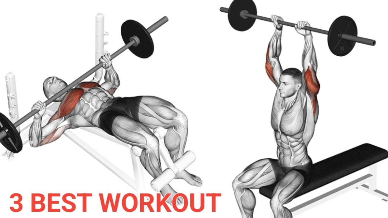 3 Best Exercises For Chest and Triceps |#workout_animation - YouTube