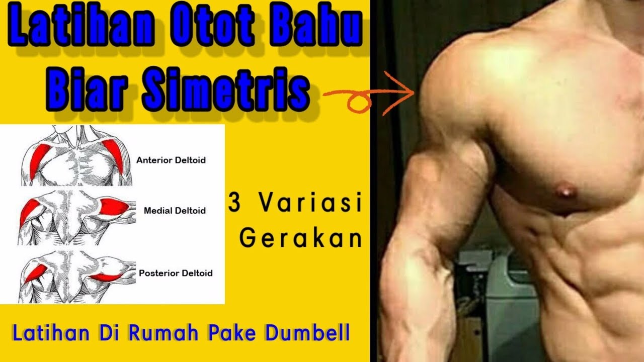 Latihan Otot Bahu-Cara Melatih Otot Bahu Agar Simetris-Latihan Otot ...