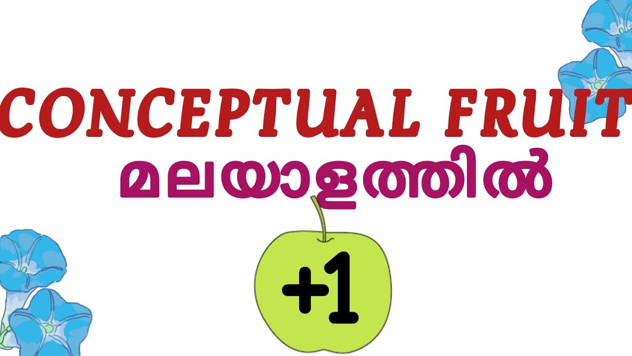 Conceptual Fruit in Malayalam|Plus one|@interactiveclassroom6660 - YouTube