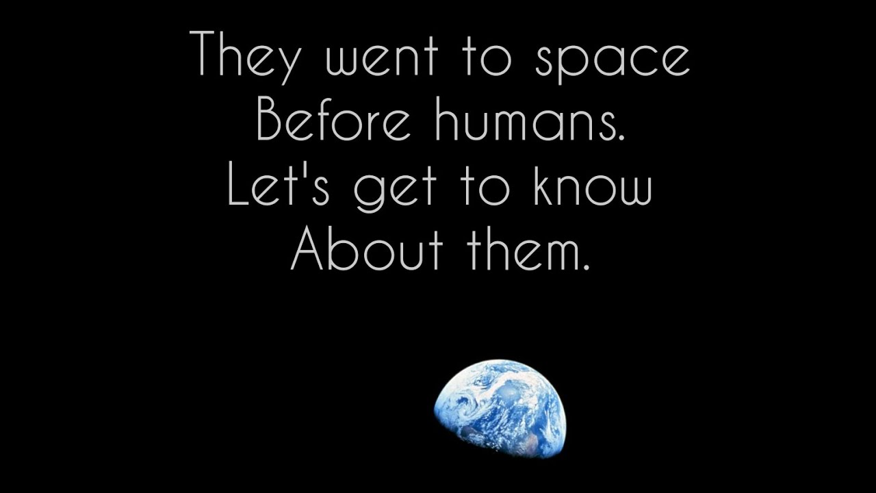 Animals Who Went To Space Before Humans YouTube animals-who-went-to-space-before-humans-youtube