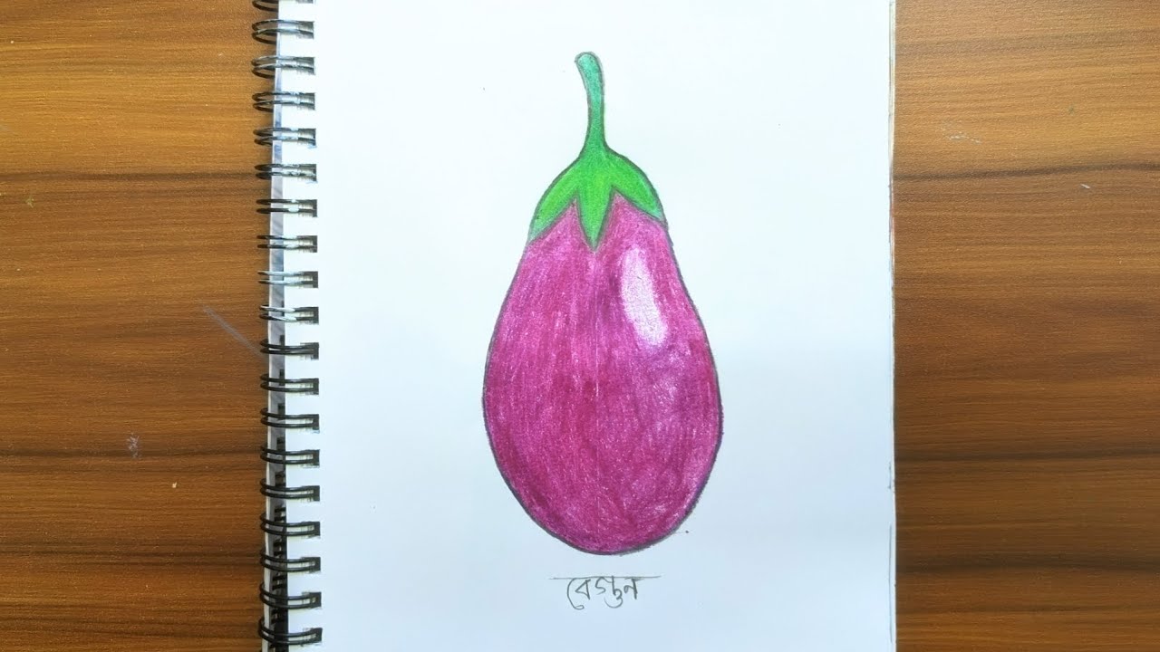How to draw a brinjal step by step for kids.|| বাচ্চাদের জন্য সহজে ...