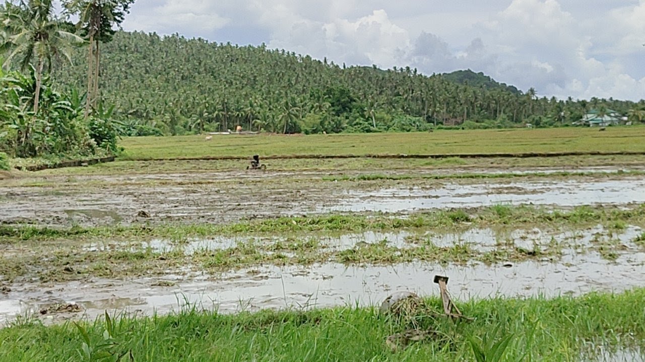 Mapanas Northern Samar - YouTube