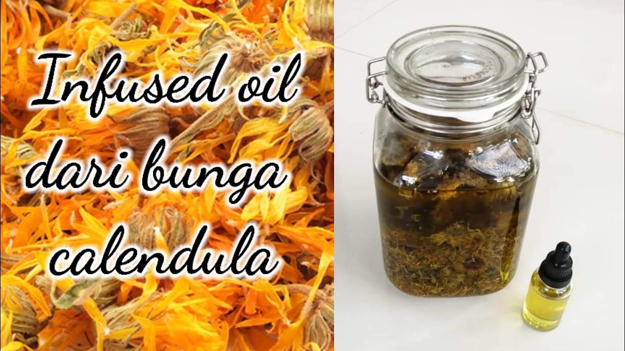 DIY Cara membuat infused oil dari bunga calendula, untuk kulit dan ...