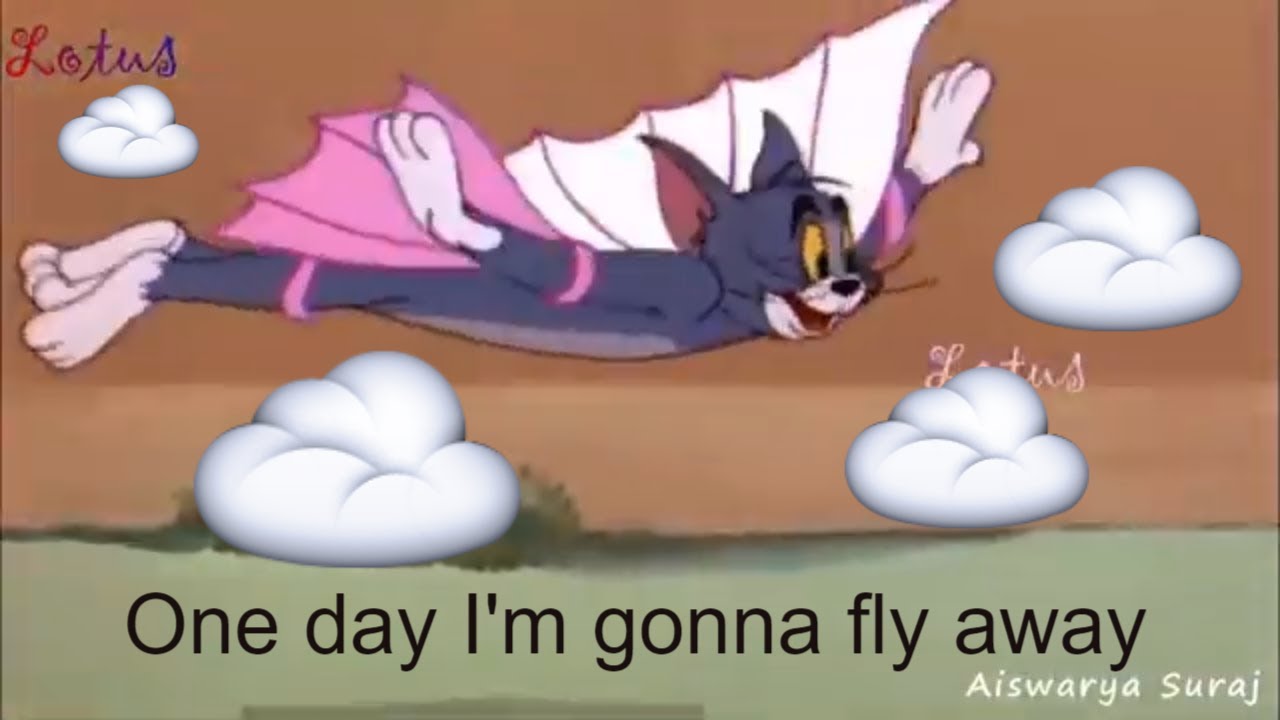 One day I gonna fly away status| NEW STATUS |Tom and jerry version ...