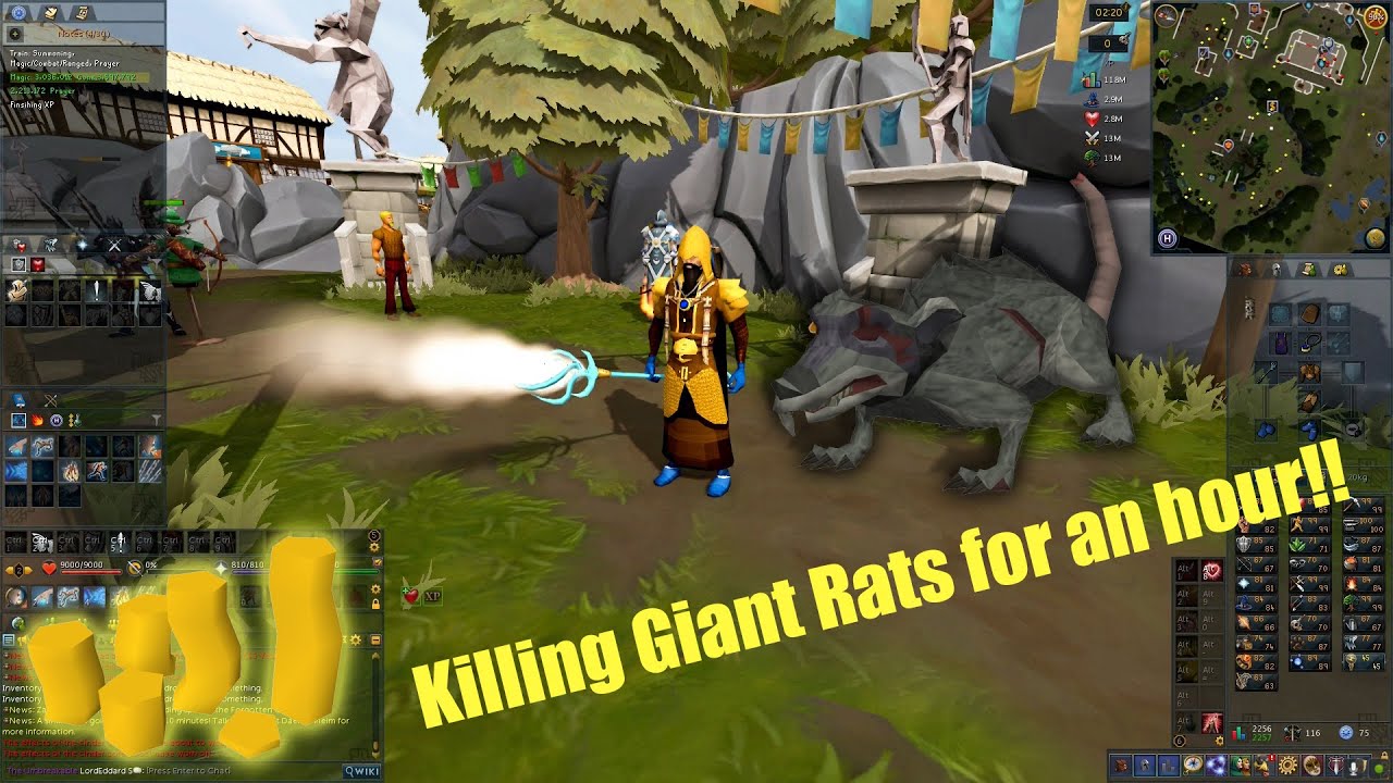 Giant Rats - GP rate of every RS3 mob - Runescape 3 - YouTube