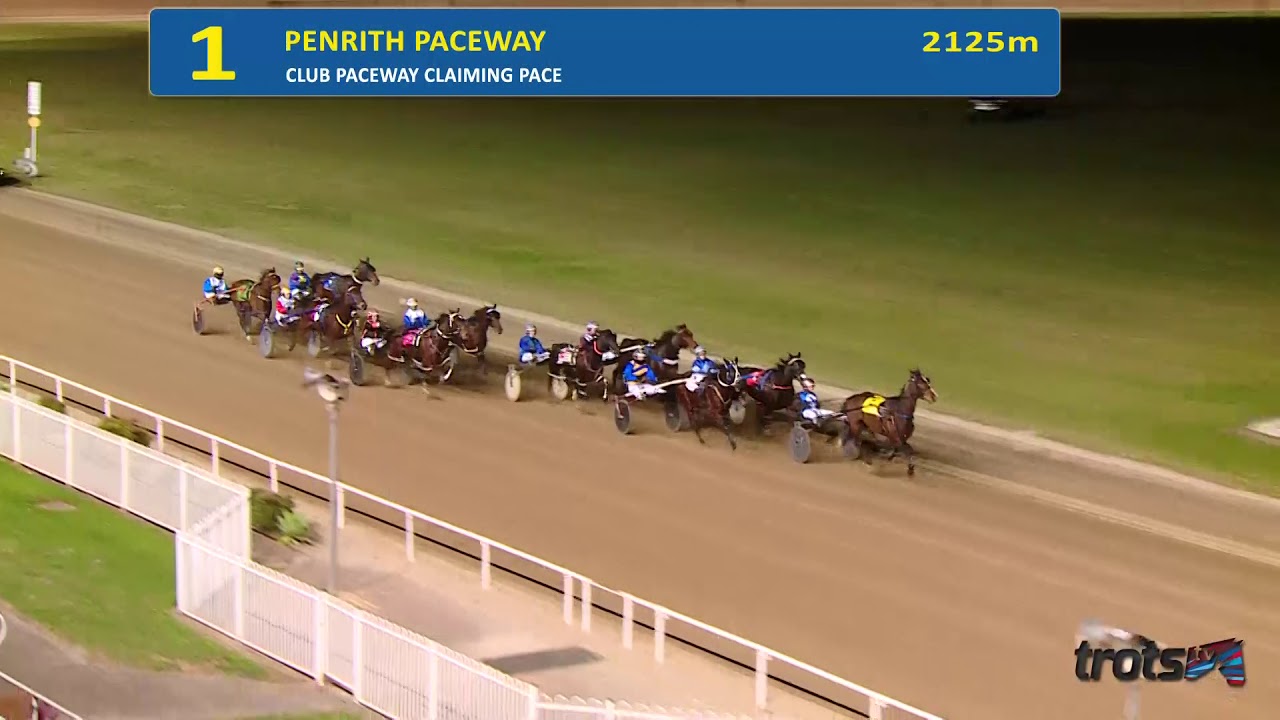 PENRITH - 04/06/2020 - Race 1 - CLUB PACEWAY CLAIMING PACE - YouTube