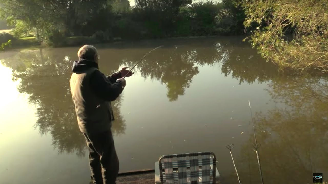 Tiny Pond: Loads of Fish! (My Float won't stop Bobbing!) | UK Fishing ...