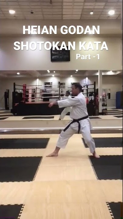 Shotokan Kata 5th Kyu Blue Belt HEIAN GODAN - YouTube