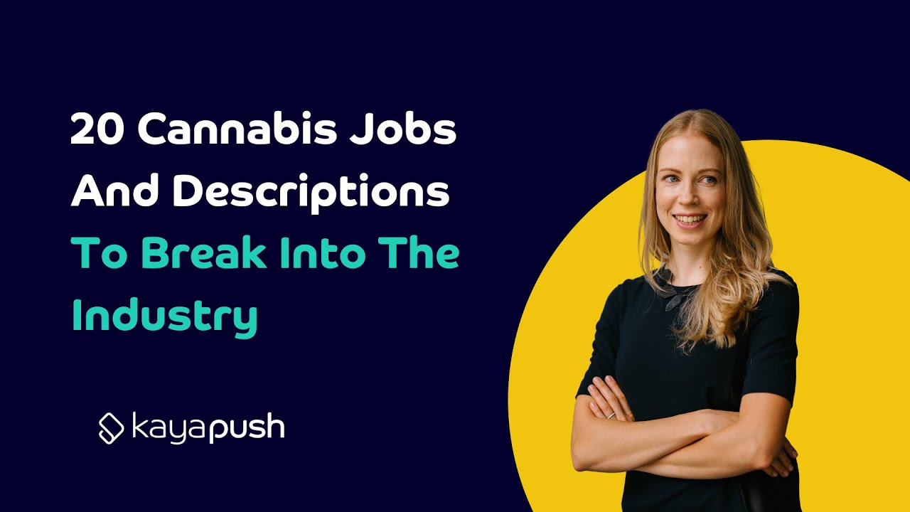 20 Cannabis Jobs And DescriptionsTo Break Into The Industry - YouTube