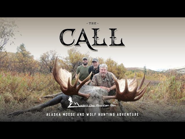 Wolf Hunting Moose