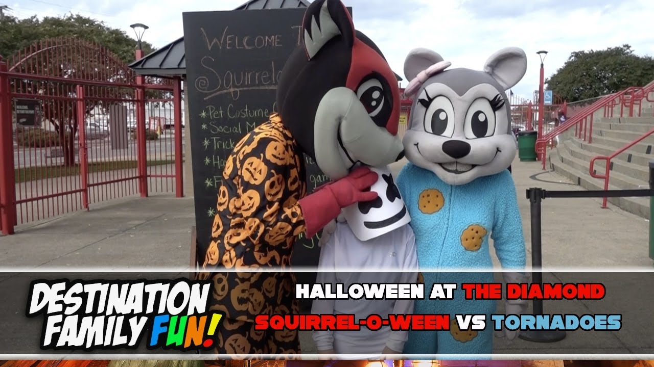 Squirrel-O-Ween featuring DJ Marshmello VS Tornadoes - YouTube