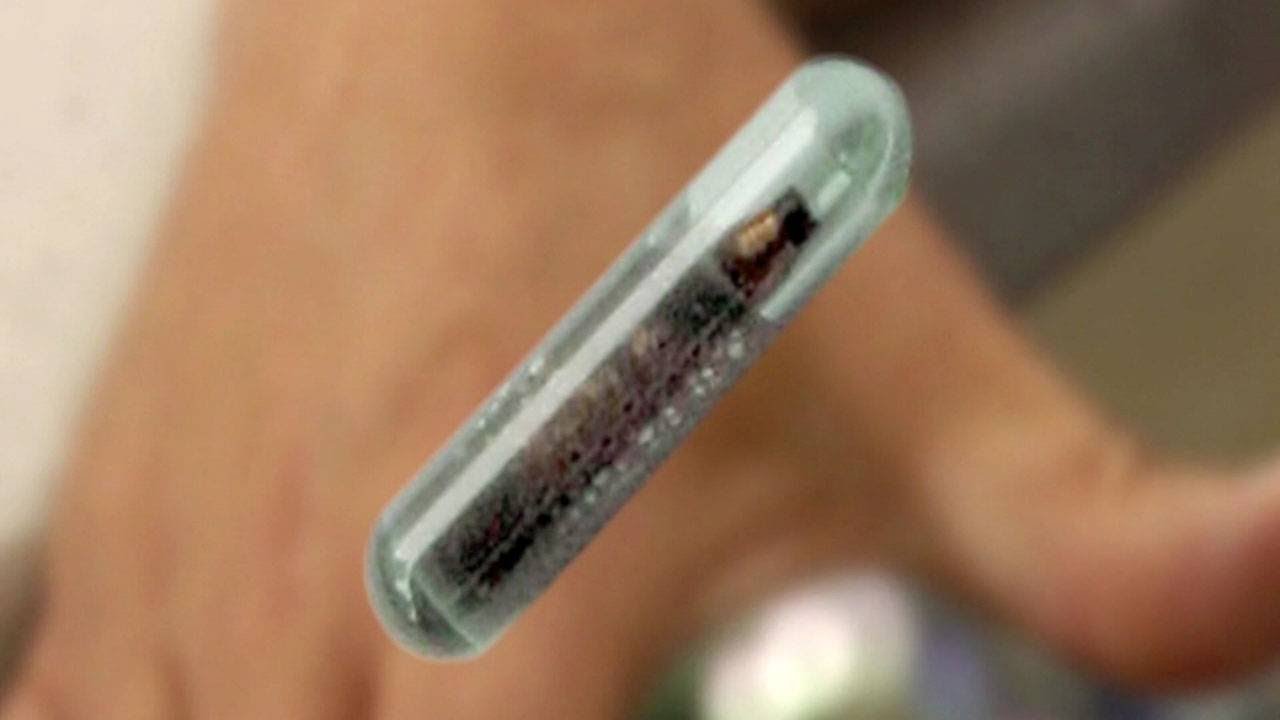 Company offers microchips to employees - YouTube