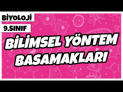 9. Sınıf Biyoloji - Bilimsel Yöntem Basamakları