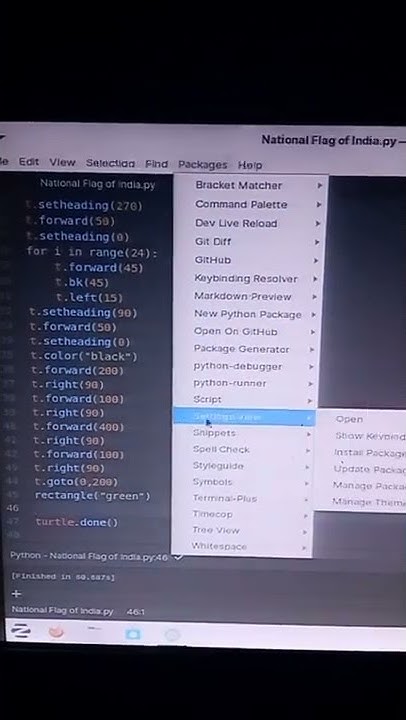 Indian National Flag Python Turtle Graphics | Coding Status Video | - YouTube