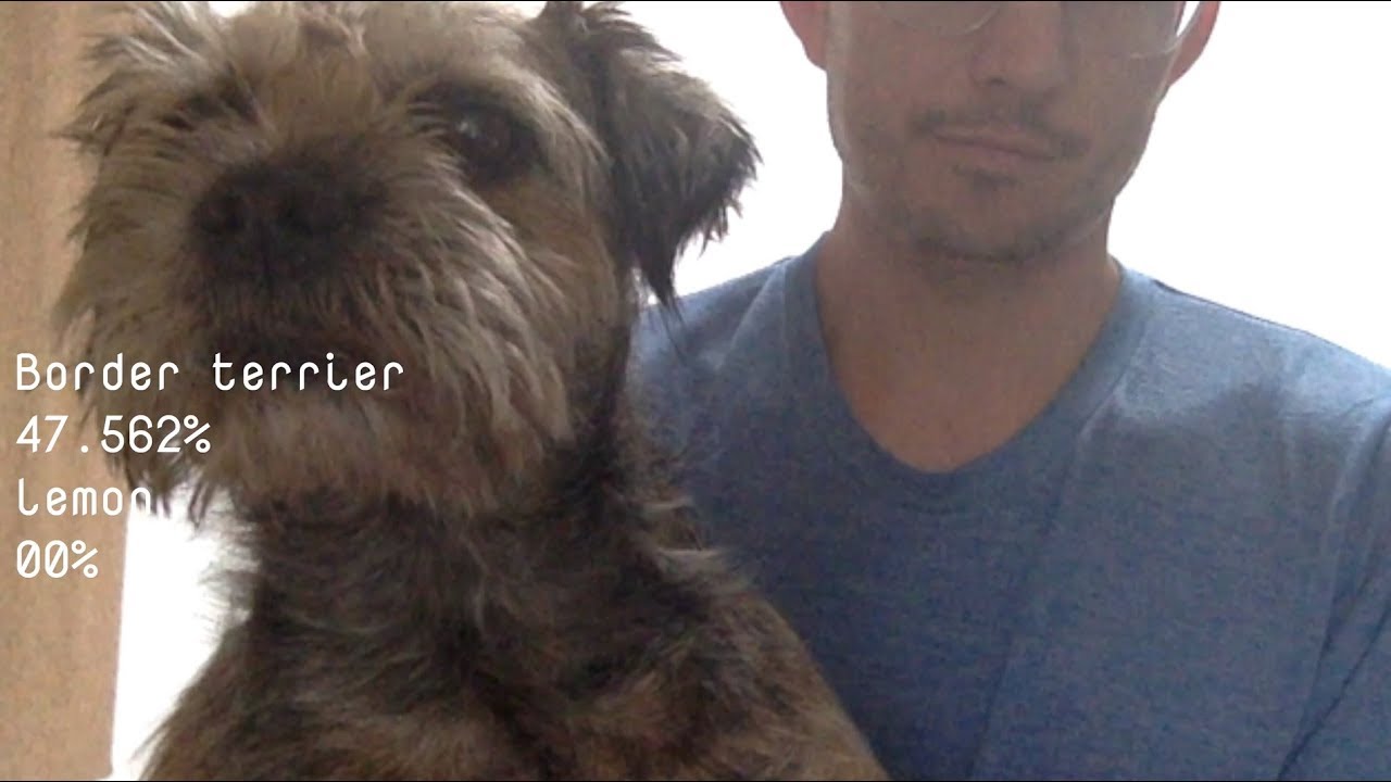 Is It A Lemon Mljs P5js Machine Learning Demo Youtube 7880