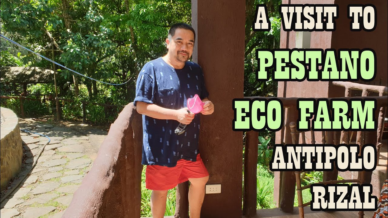 A Visit To Pestano Farm Part 2 | Eco Farm Resort | #nature #farming # ...