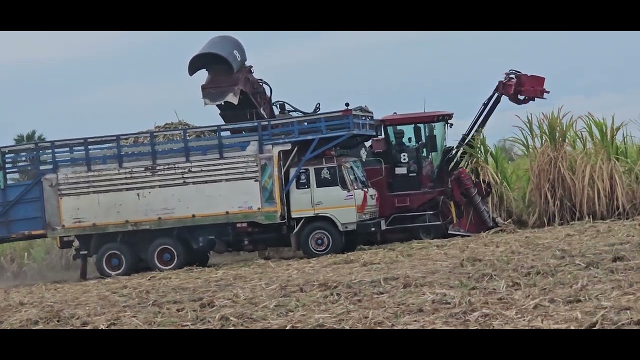 CASE A8000 NO8 - YouTube