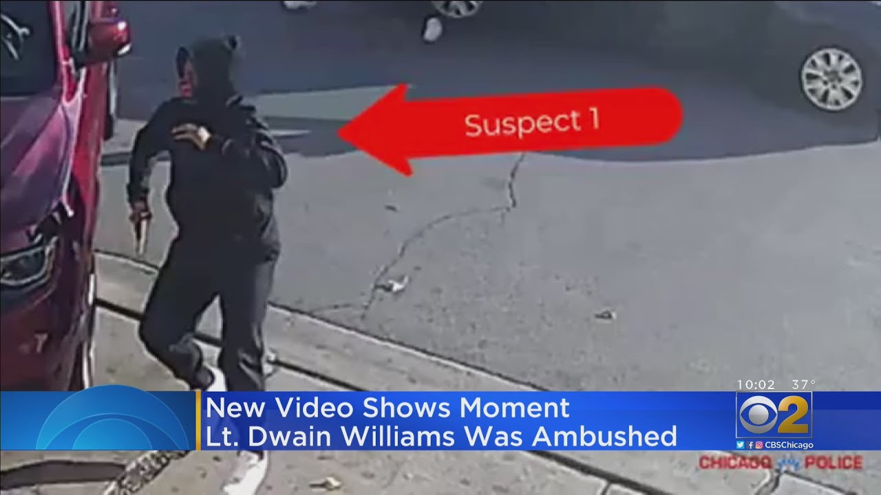 New Video Shows Moment When Retired Fire Lt. Dwain Williams Was ...