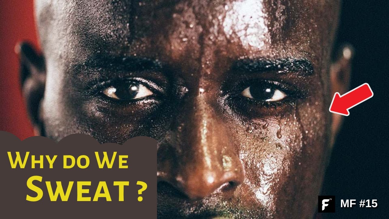 Why We Do Sweat Why Do I Sweat So Much In Hindi Factiy TV YouTube why-we-do-sweat-why-do-i-sweat-so-much-in-hindi-factiy-tv-youtube
