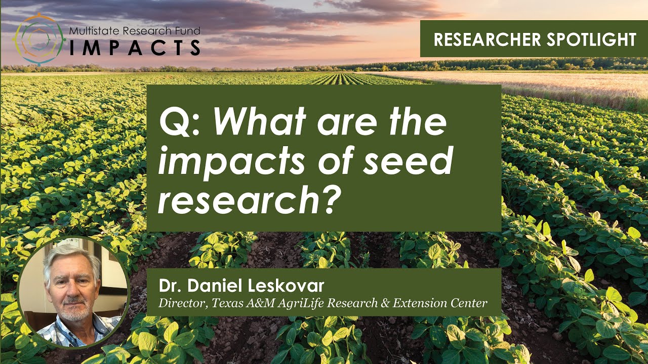 Daniel Leskovar Q&A: Impacts - YouTube