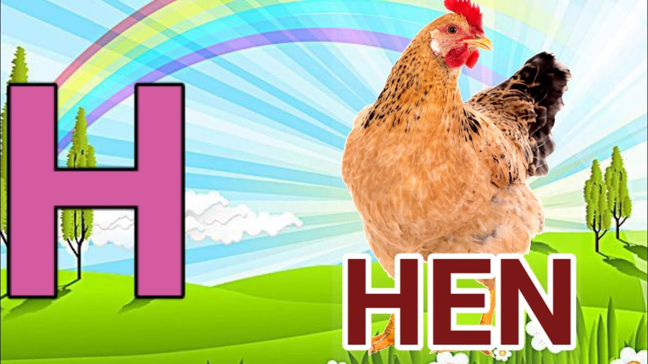 a for apple to z for zebra. h for house. h for horse. h for hen. h for ...