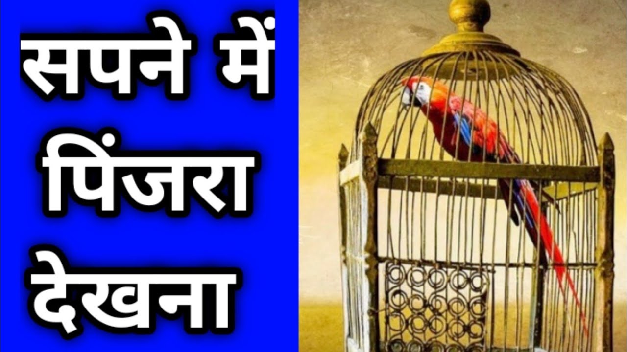 सपने में पिंजरा देखना, सपने में पिंजरा देखने का मतलब,sapne me pijra ...