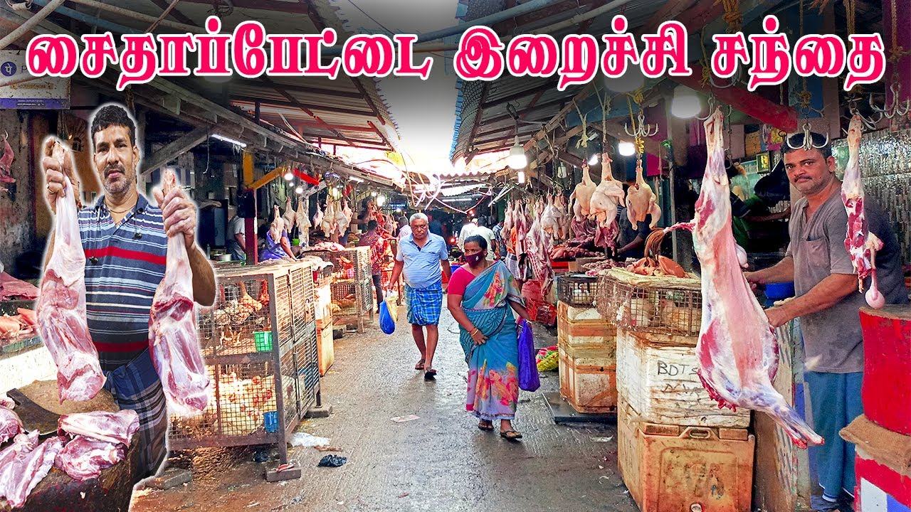 சைதாப்பேட்டை இறைச்சி சந்தை | Saidapet Meat market | Goat | Chicken ...