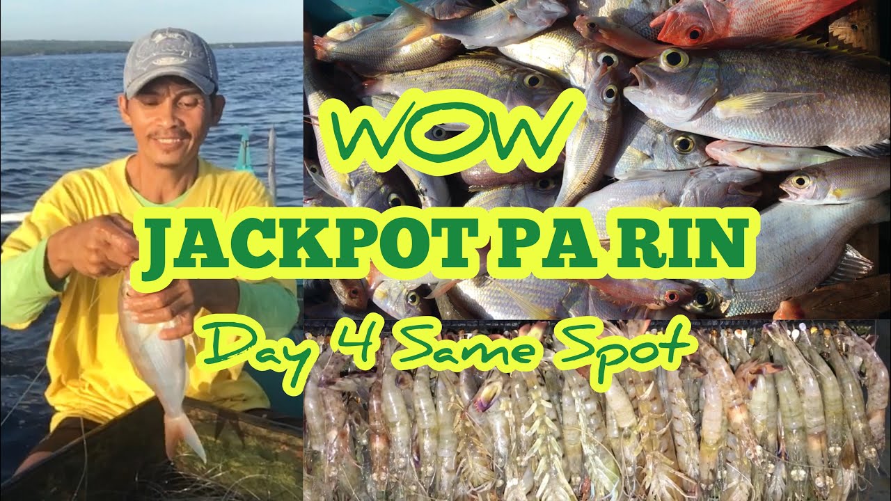 DAY 4 JACKPOT FISHING AGAIN | EP43 LONGLINE FISHING | SAME SPOT - YouTube