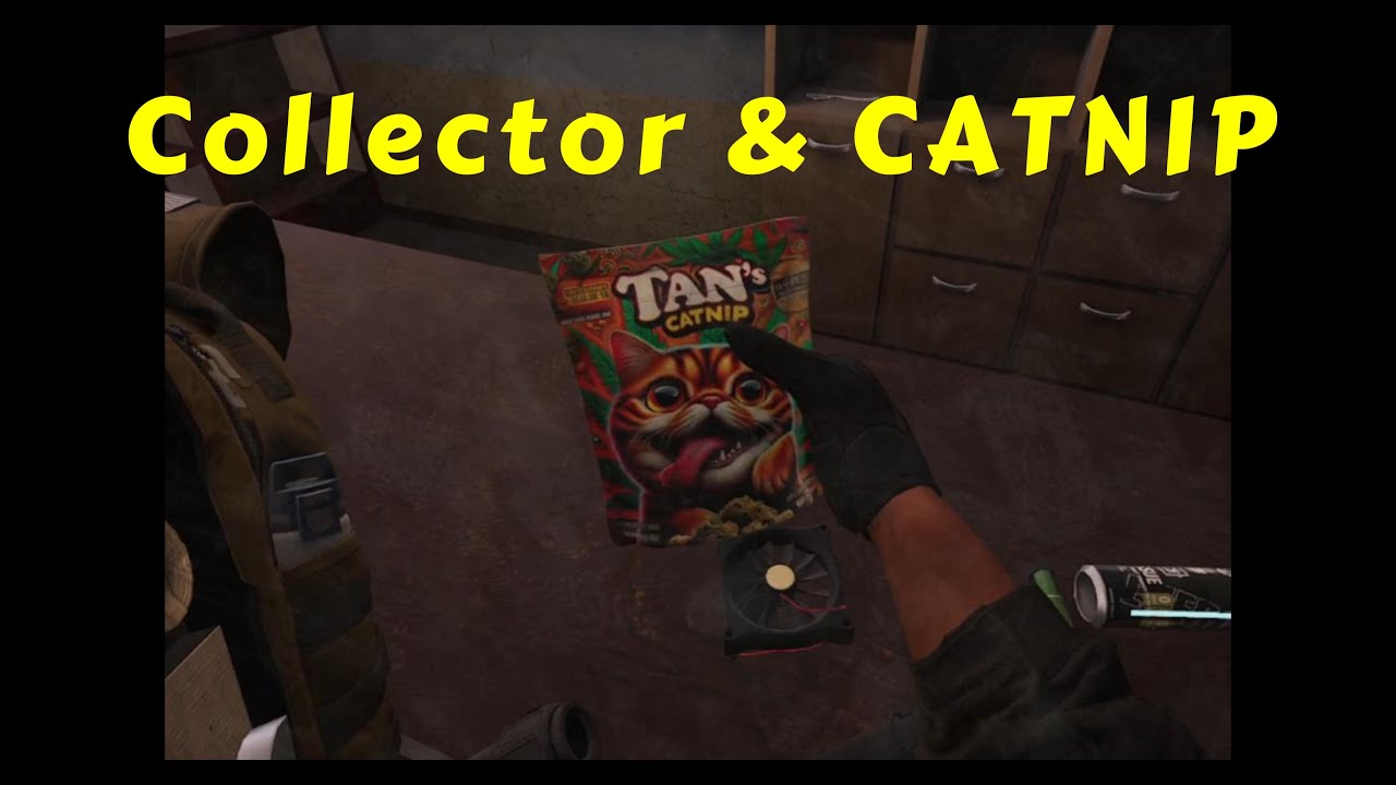 Collector AND NEW STREAMER ITEM? - Ghosts of Tabor - YouTube