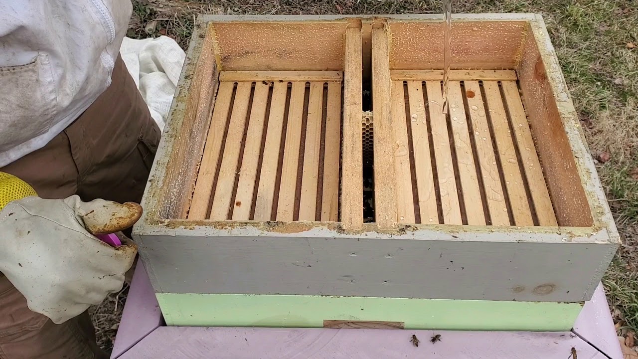 Feeding Bees Sugar Syrup in Spring - YouTube