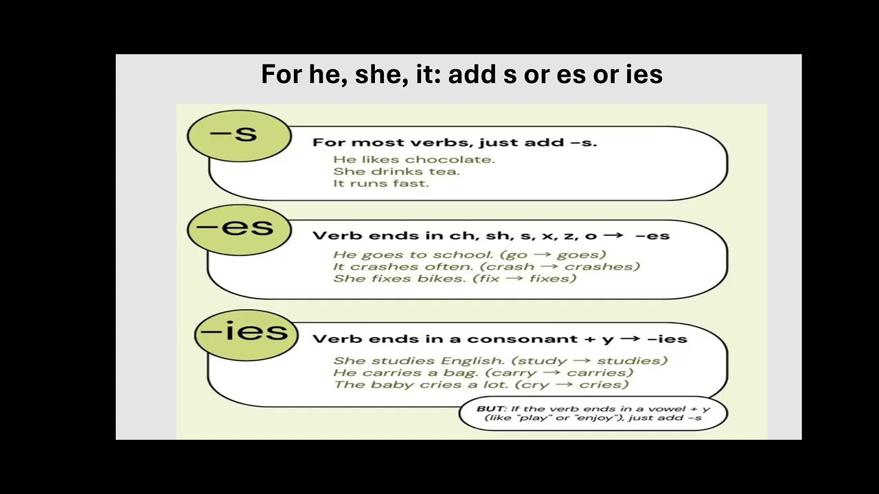 Present Simple Tense | Use & Form Explained for Beginners (Easy English ...