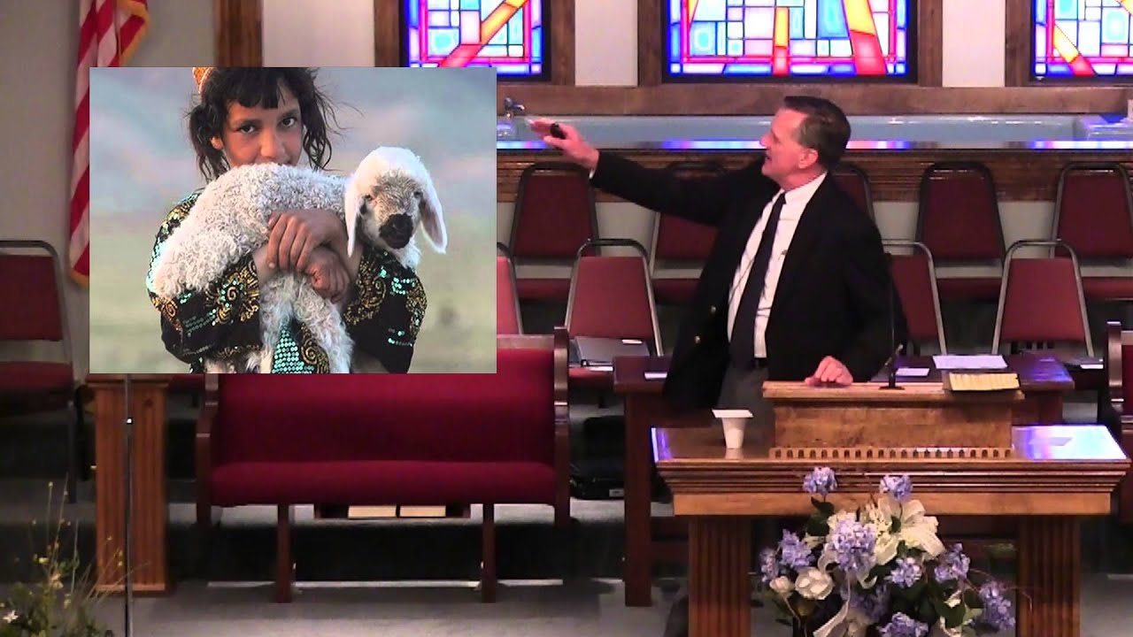 Pastor Tim Hall - Sermon - The Lost Lamb - Luke 15 - YouTube